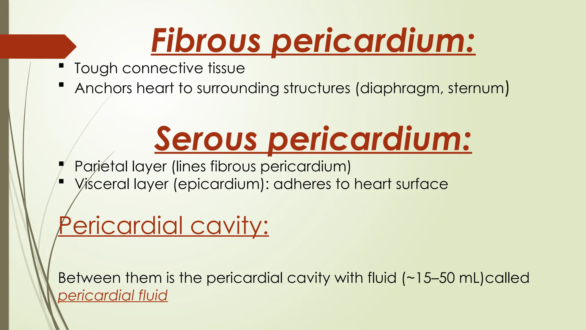 THE HEART LAYERS and their types. .pptx