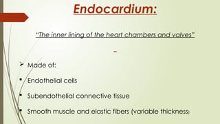 THE HEART LAYERS and their types. .pptx