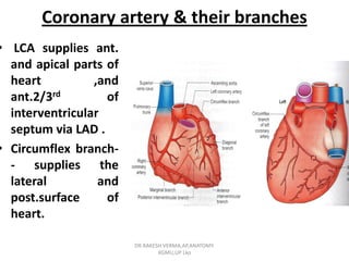 The_Heart_Pericardium2.pdf