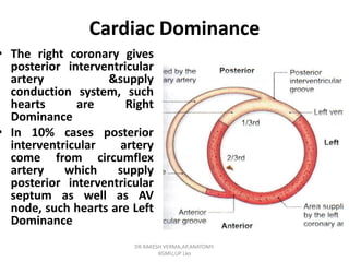 The_Heart_Pericardium2.pdf