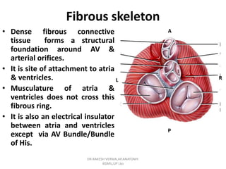 The_Heart_Pericardium2.pdf