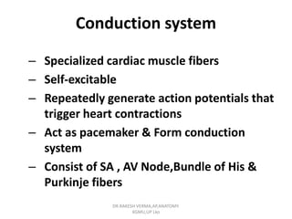 The_Heart_Pericardium2.pdf