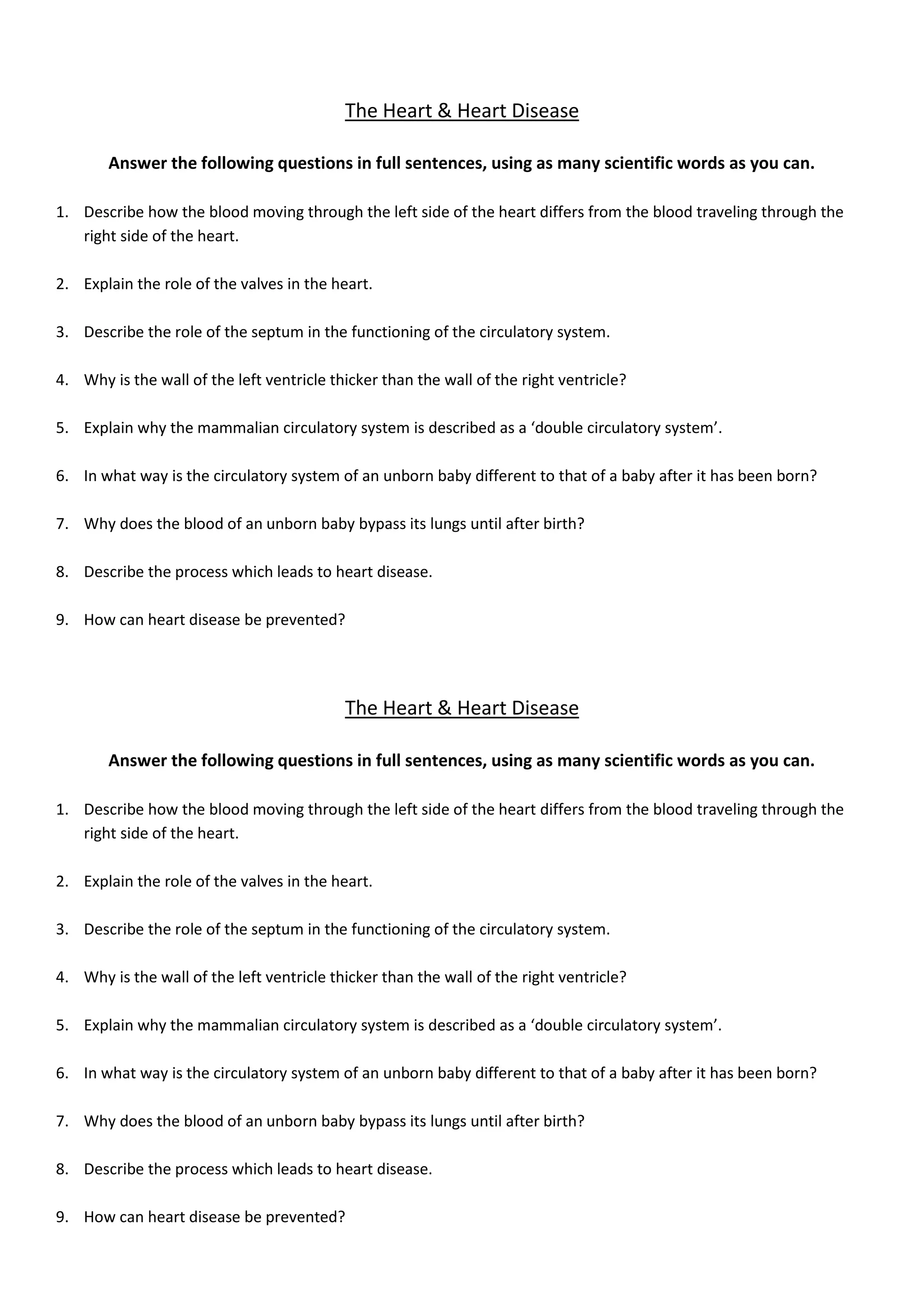 The heart worksheet | DOCX | Heart and Cardiovascular Diseases ...