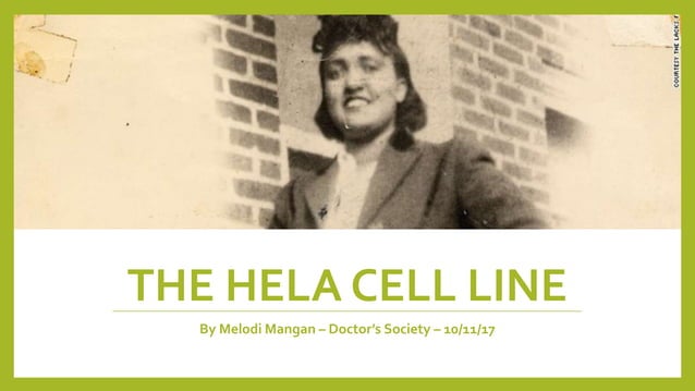 The HeLa Cell Line | PPTX