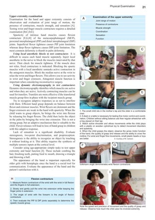 The help guide to cerebral palsy complete | PDF