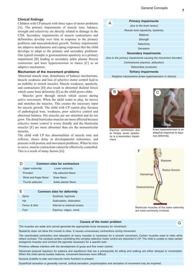 The help guide to cerebral palsy complete | PDF | Brain and Nervous ...