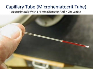 The hematocrit test | PPTX