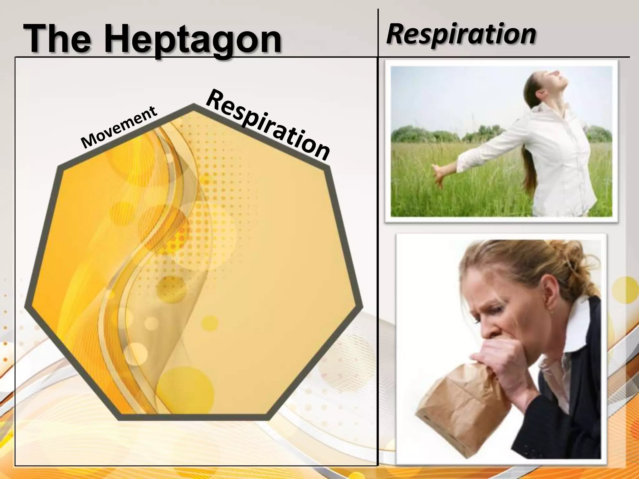 The Heptagon | PPTX | Lung and Respiratory Health | Diseases and Conditions