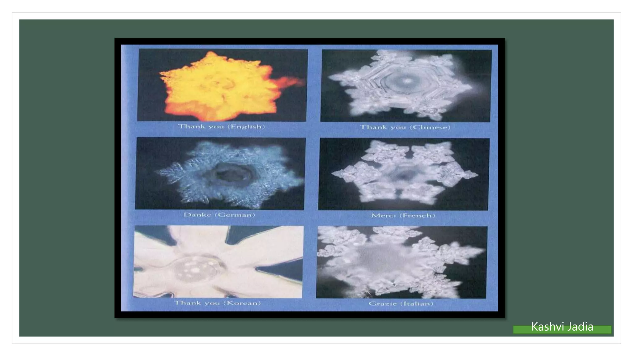 The hidden messages in water.pptx