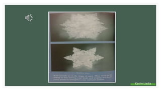 The hidden messages in water.pptx