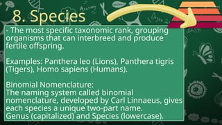 The Hierarchical Taxonomic System (A Ranking System for Biodiversity ...