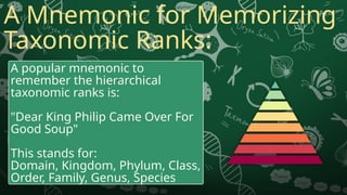 The Hierarchical Taxonomic System (A Ranking System for Biodiversity ...