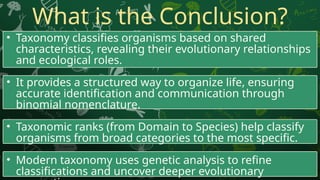The Hierarchical Taxonomic System (A Ranking System for Biodiversity) | PPT