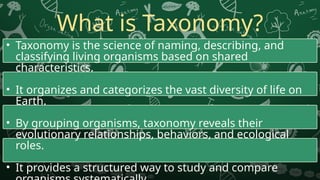The Hierarchical Taxonomic System (A Ranking System for Biodiversity ...