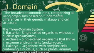 The Hierarchical Taxonomic System (A Ranking System for Biodiversity ...