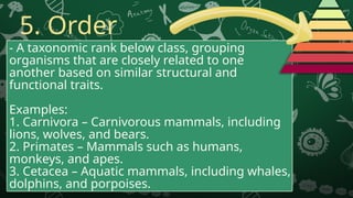 The Hierarchical Taxonomic System (A Ranking System for Biodiversity ...