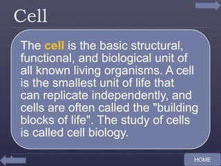 The hierarchy of biological organization wilson | PPT