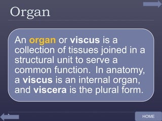 The hierarchy of biological organization wilson | PPT