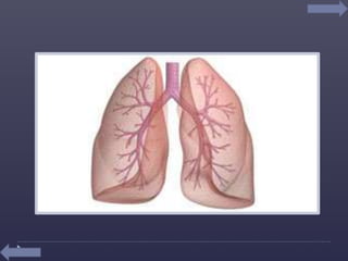 The hierarchy of biological organization wilson | PPT