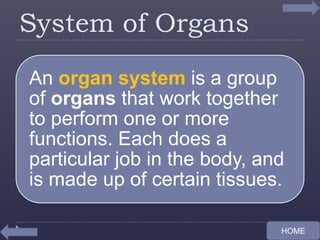 The hierarchy of biological organization wilson | PPT