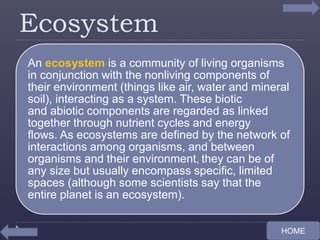 The hierarchy of biological organization wilson | PPTX