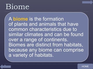The hierarchy of biological organization wilson | PPT