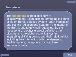 The hierarchy of biological organization wilson | PPT