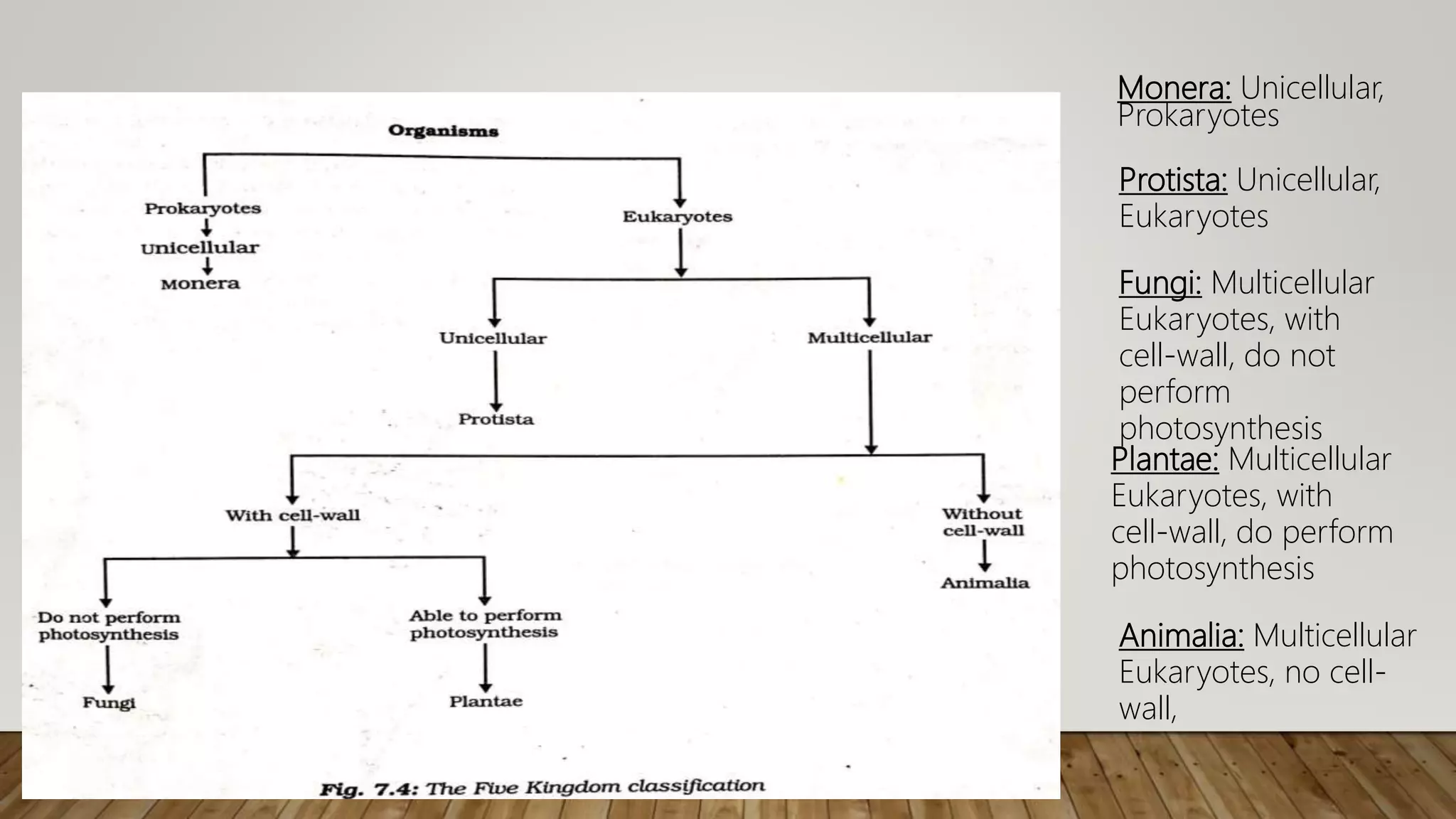Diversity in Living Organisms-The hierarchy of classification groups | PPTX