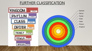 Diversity in Living Organisms-The hierarchy of classification groups ...