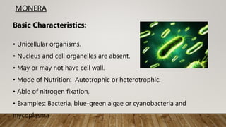 Diversity in Living Organisms-The hierarchy of classification groups | PPTX