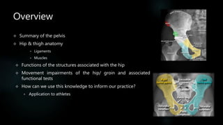 The Pelvis and Hip: Function and Anatomy | PPTX