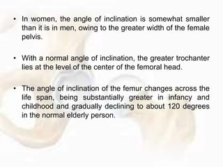 The hip complex | PPT