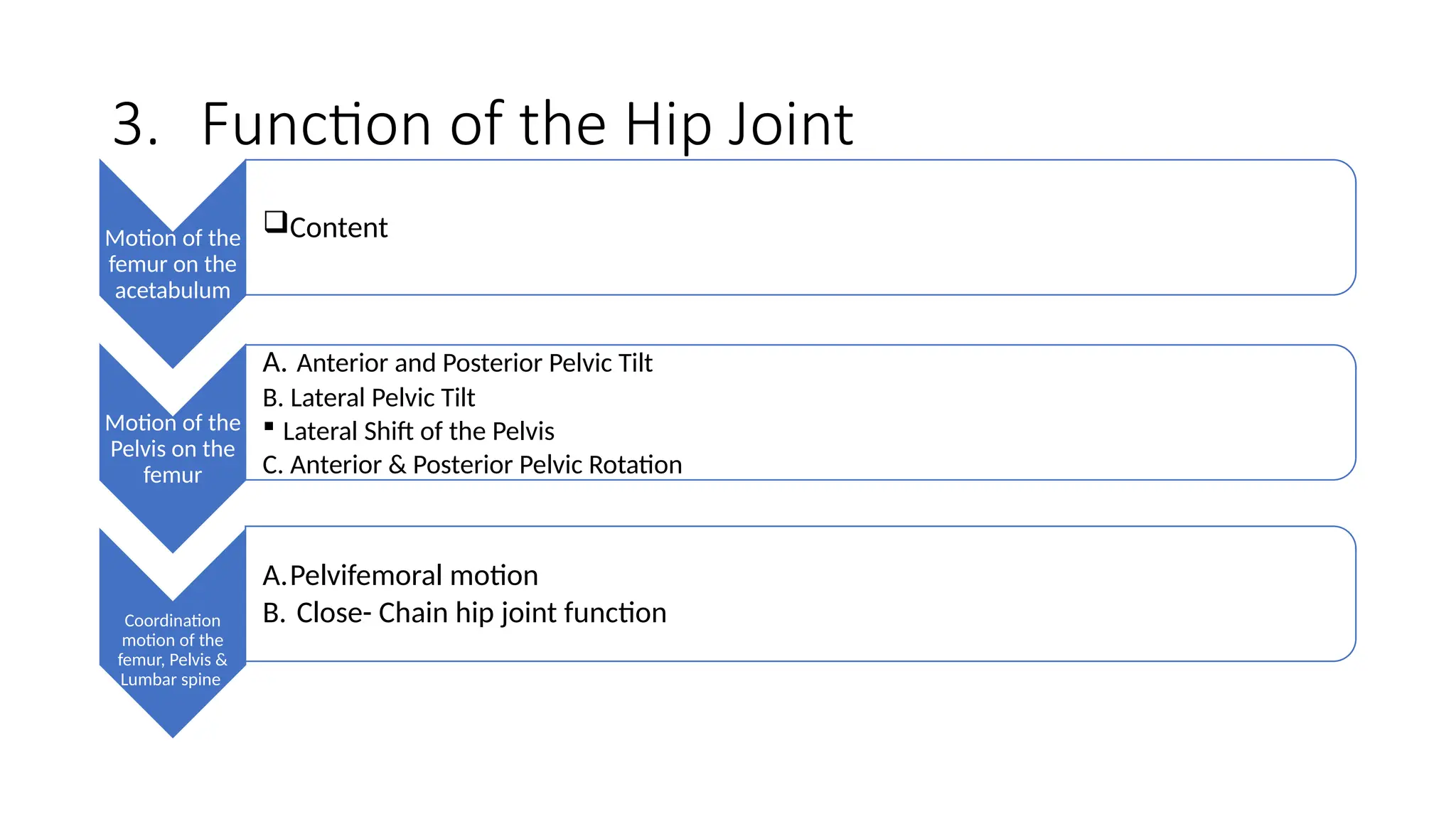 The Hip Complex:- Anatomy, Biomechanics, and Clinical Relevance | PPTX