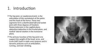 The Hip Complex:- Anatomy, Biomechanics, and Clinical Relevance | PPTX