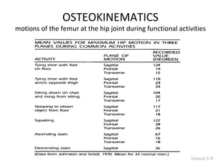The Hip Biomechanics SRS | PPT