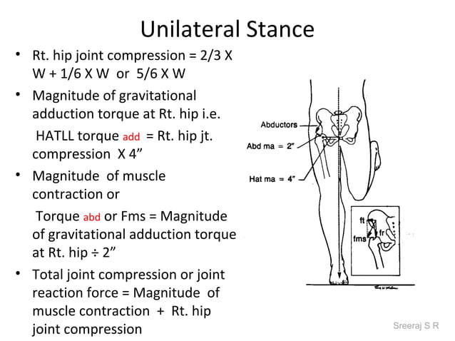 The Hip Biomechanics SRS | PPT