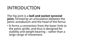 The hip joint.pptx anatomy lower limb topic | PPTX