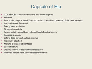 Anatomy of The Hip Jointt of human beings .ppt