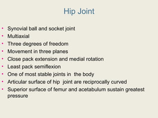 Anatomy of The Hip Jointt of human beings .ppt