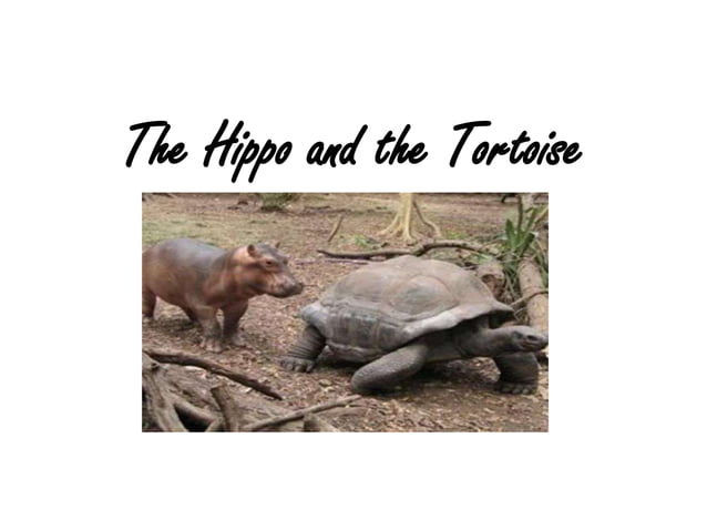 The hippo and the tortoise | PPT