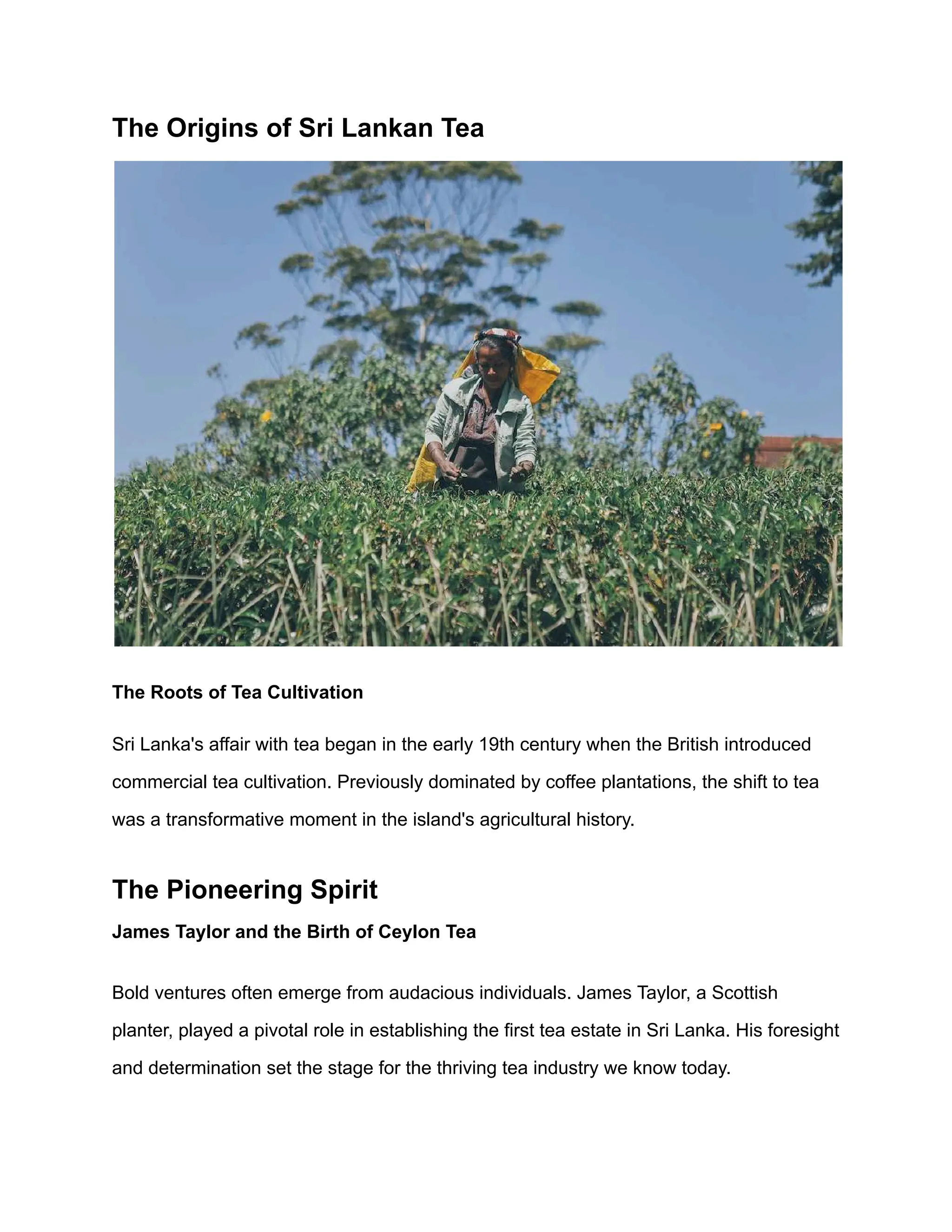 The History and Evolution of Tea Plantations in Sri Lanka.pdf