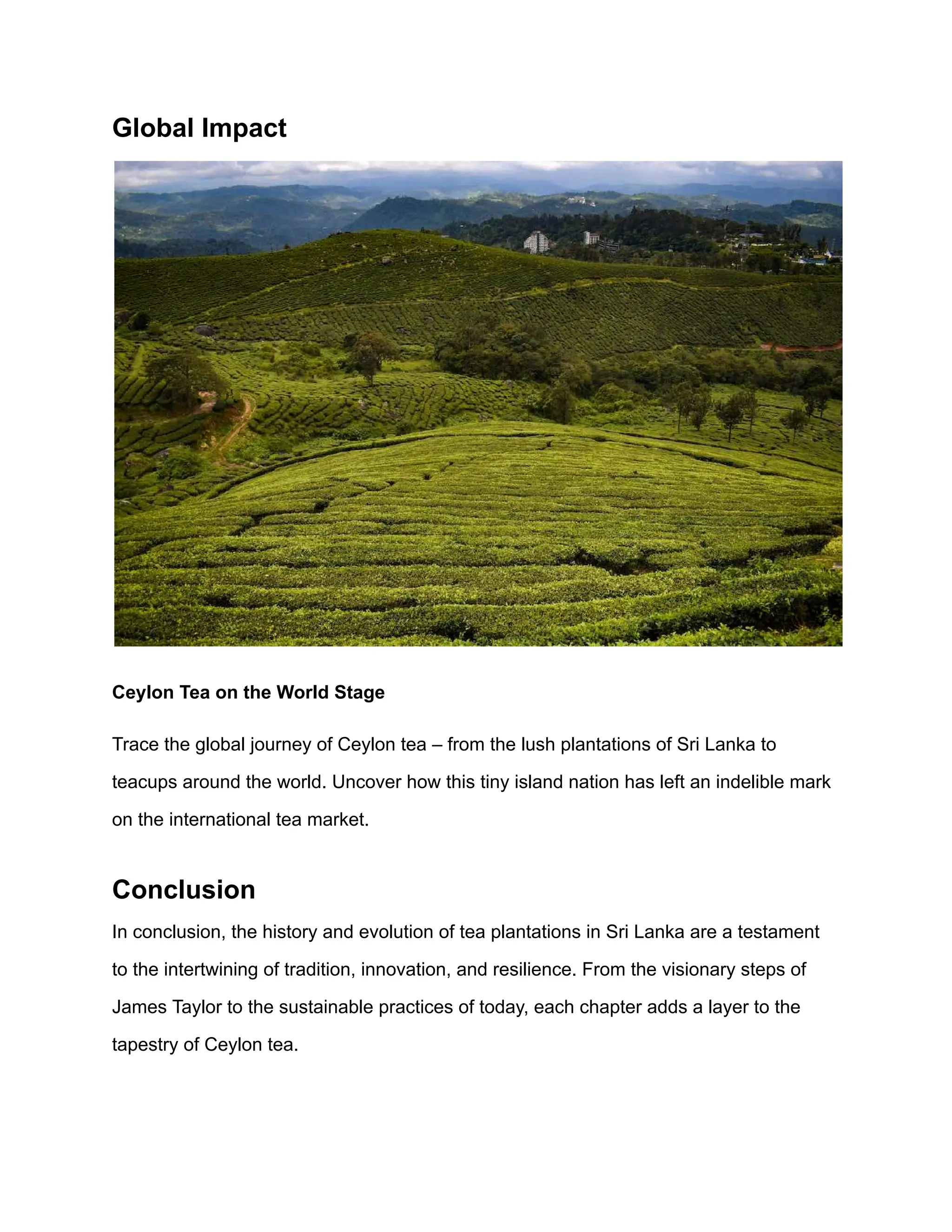 The History and Evolution of Tea Plantations in Sri Lanka.pdf