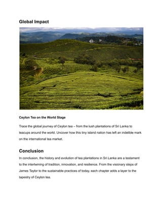 The History and Evolution of Tea Plantations in Sri Lanka.pdf