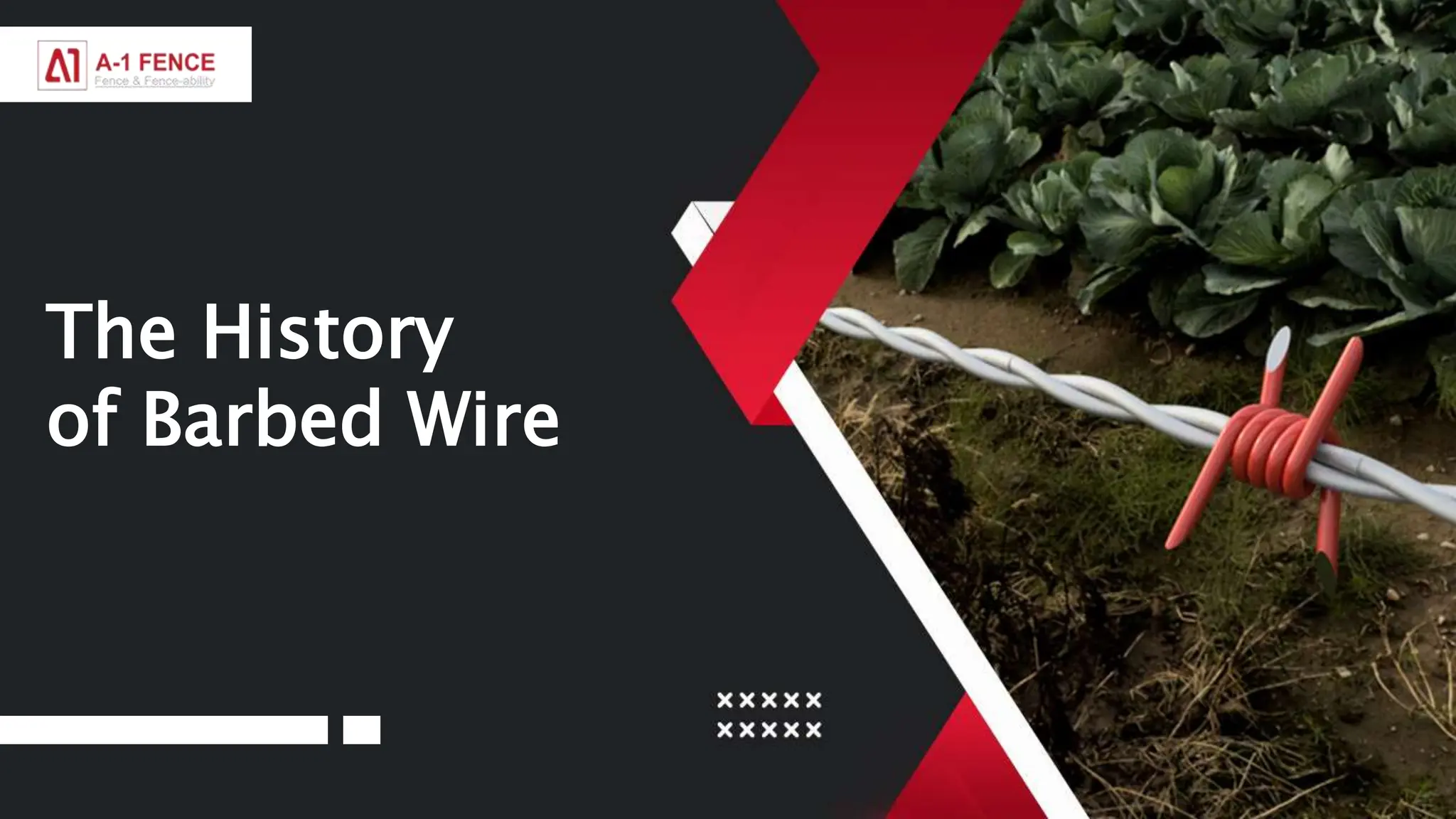 The History of Barbed Wire - A 1 fence. | PPTX
