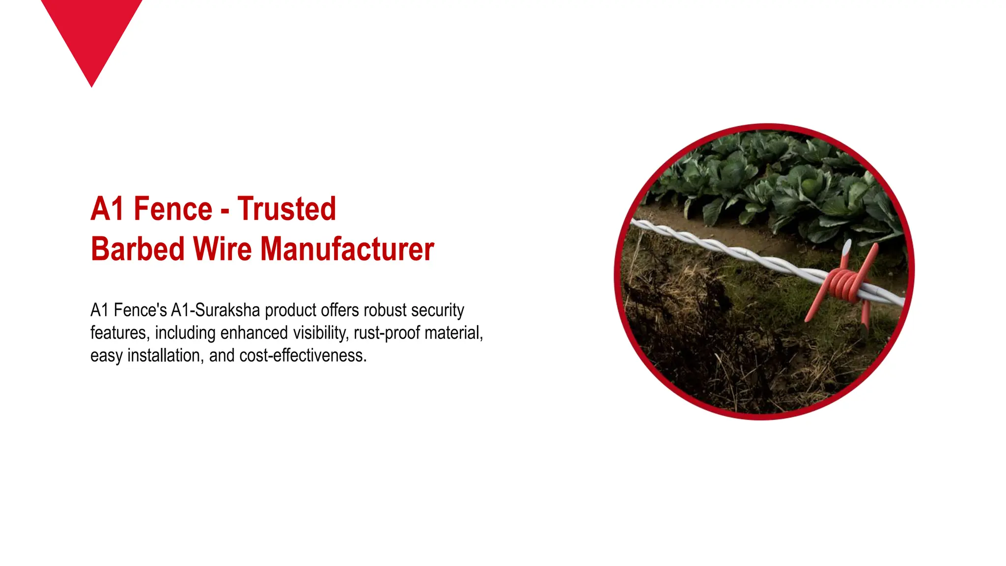 The History of Barbed Wire - A 1 fence. | PPTX