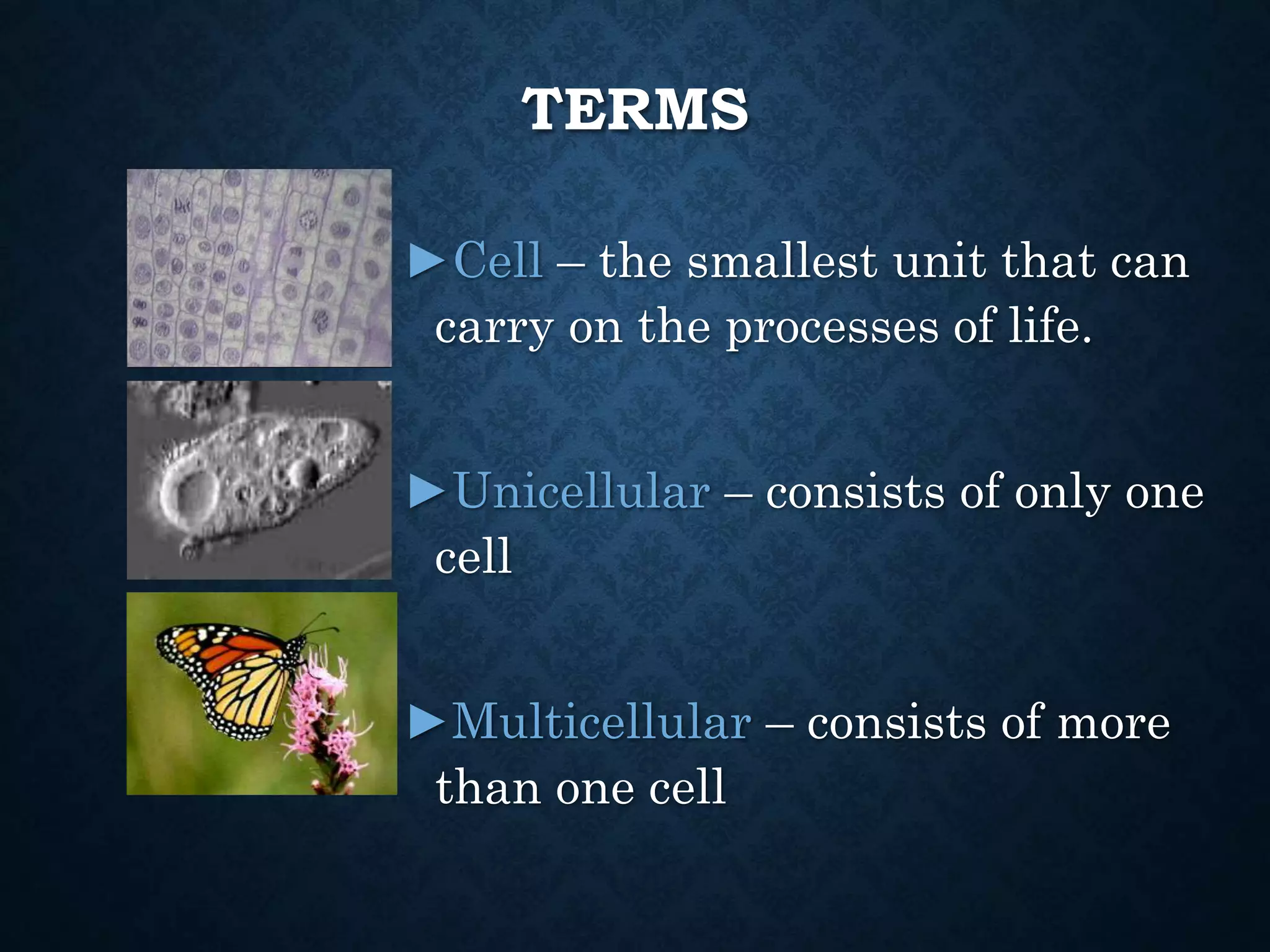 The history of cells and cell theory | PPTX