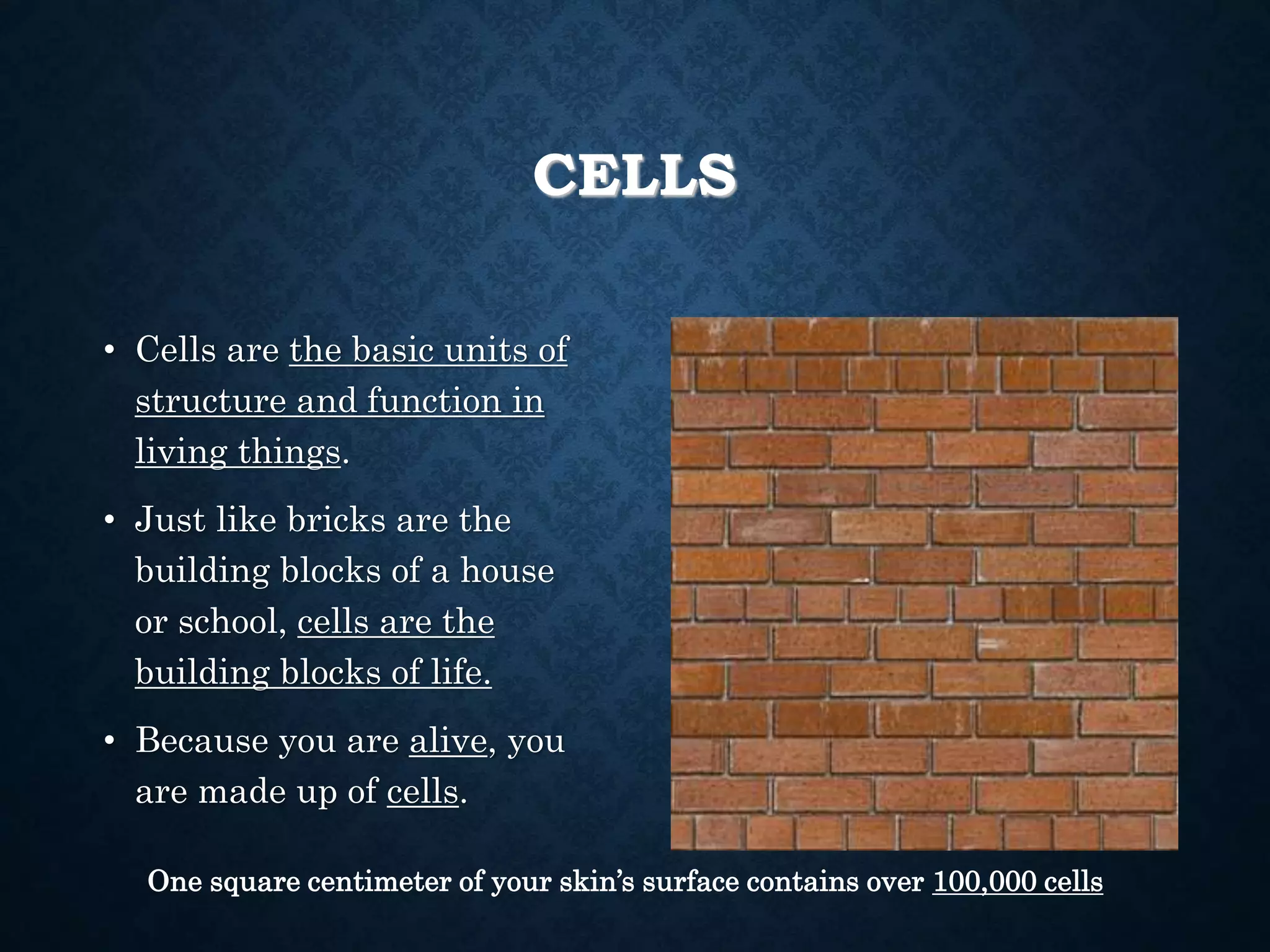 The history of cells and cell theory | PPTX