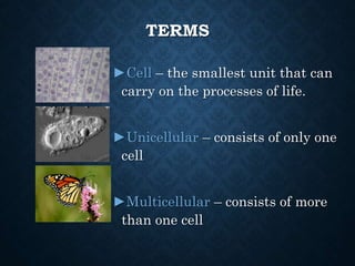 The history of cells and cell theory | PPTX