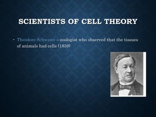 The history of cells and cell theory | PPTX