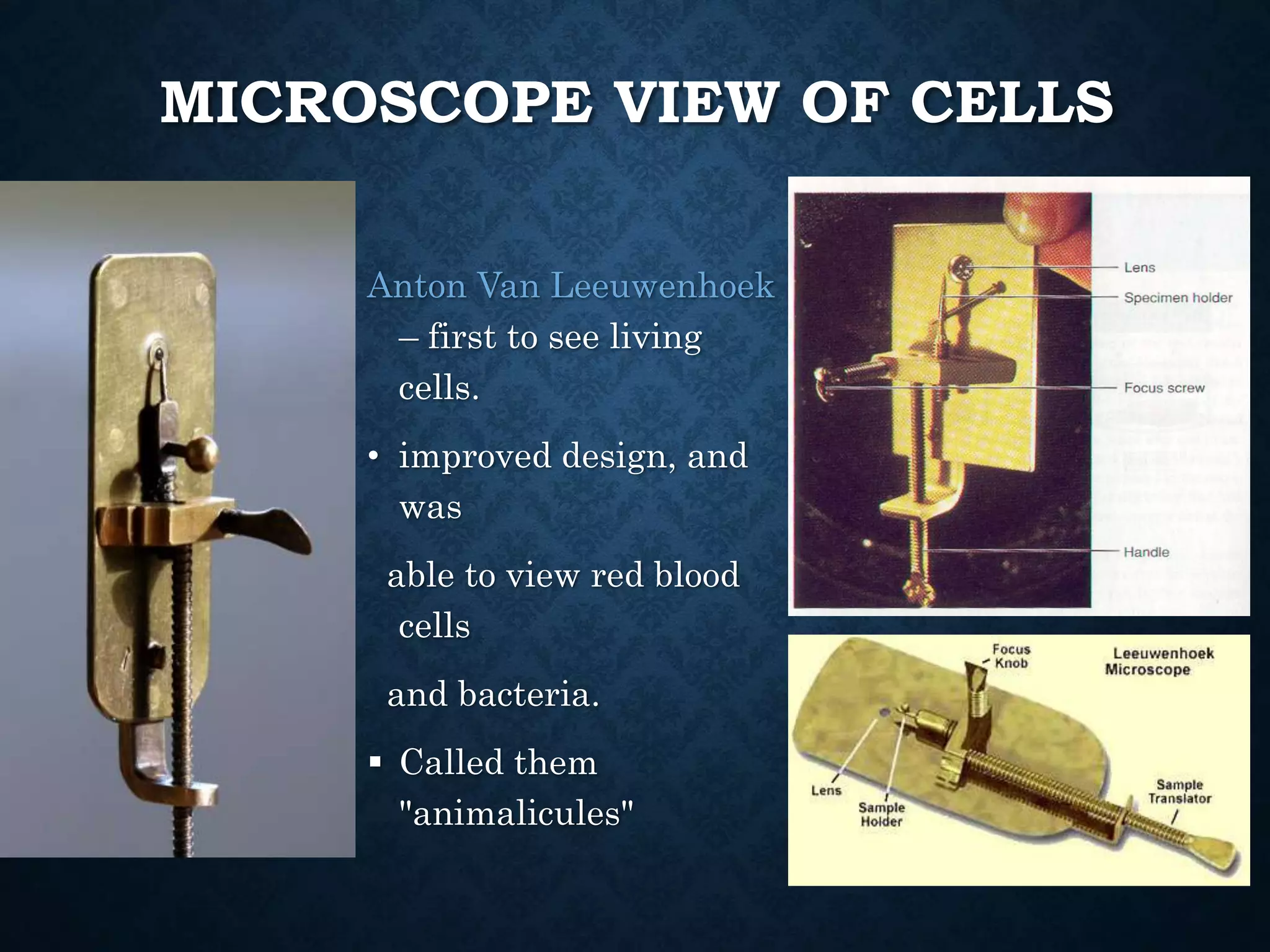 History of cell | PDF
